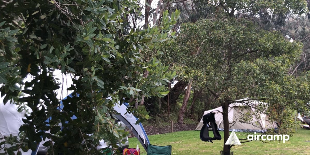 Kennett River Caravan Park - Anycamp