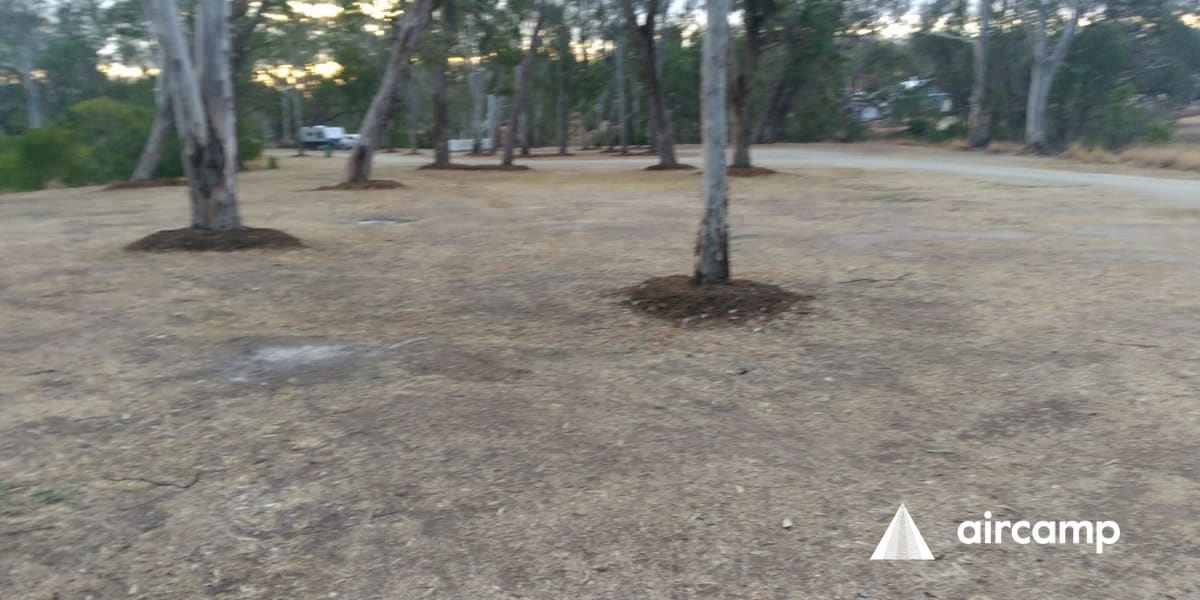 Cooyar Showgrounds - Anycamp