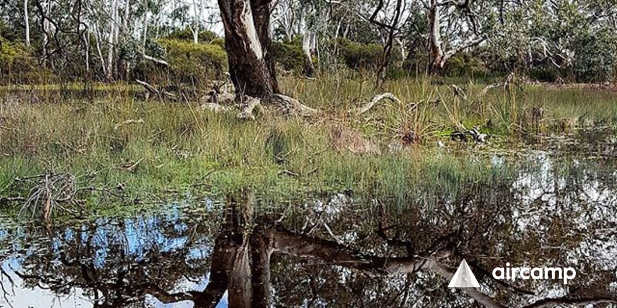 Red Gum Swamp - Anycamp