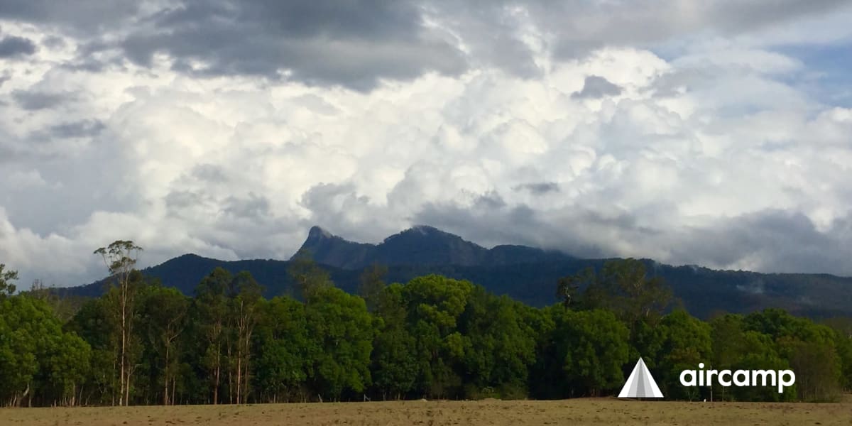 Tyalgum Diggers Campground - Anycamp