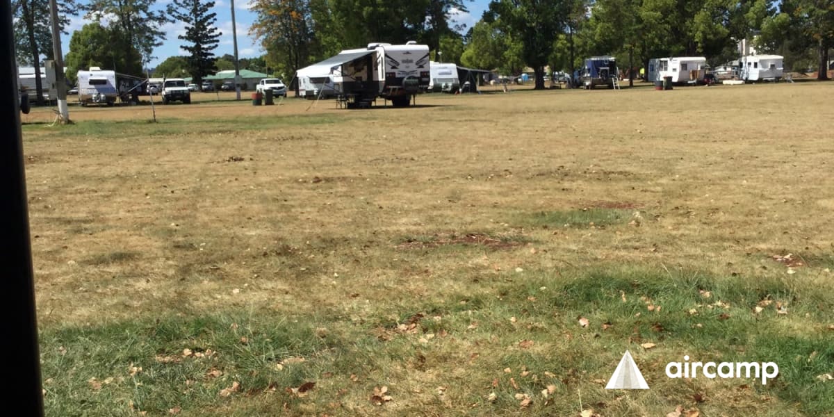 Kingaroy Showgrounds Caravan Park - Anycamp