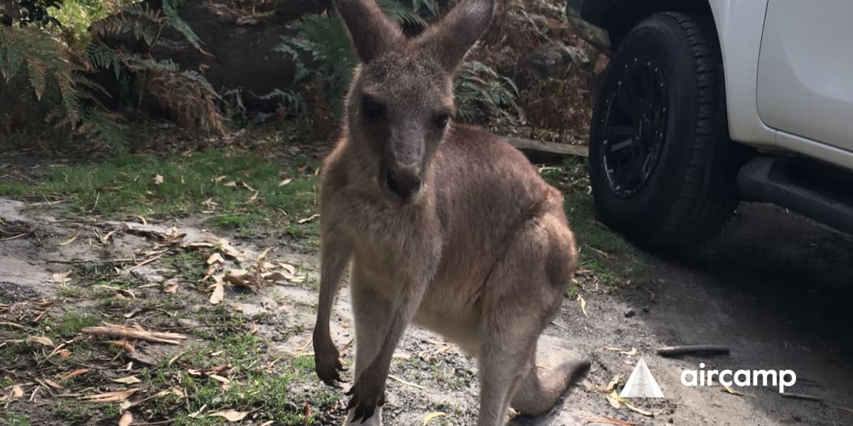 Cave Beach - Anycamp