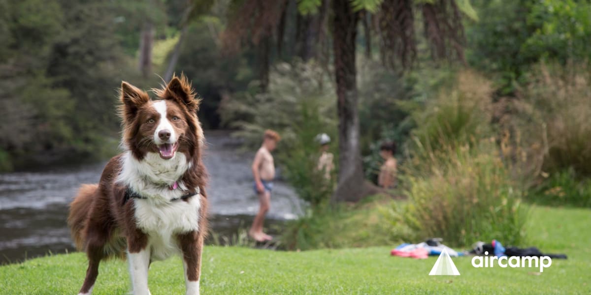 Warburton Holiday Park - Anycamp