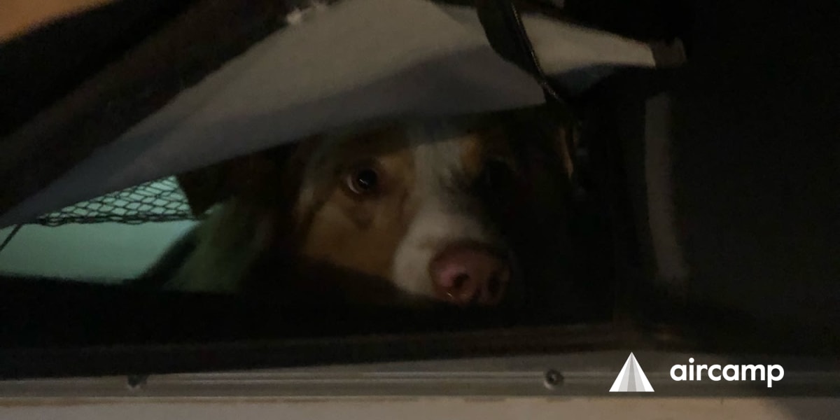 Alexander Bay - Anycamp