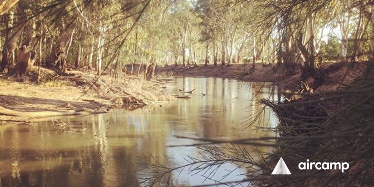 Koondrook Caravan Park - Anycamp