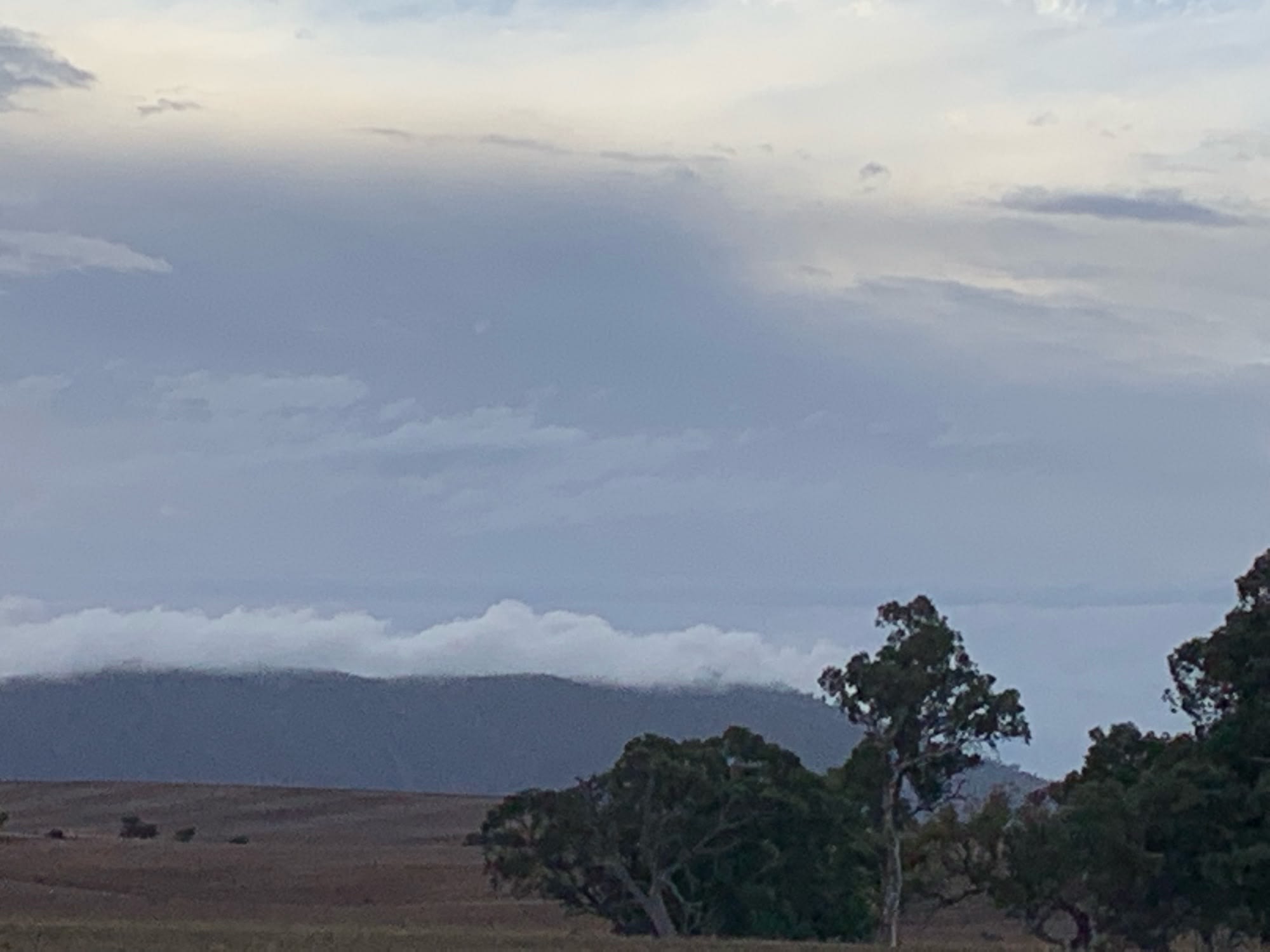 Murray Town - Anycamp