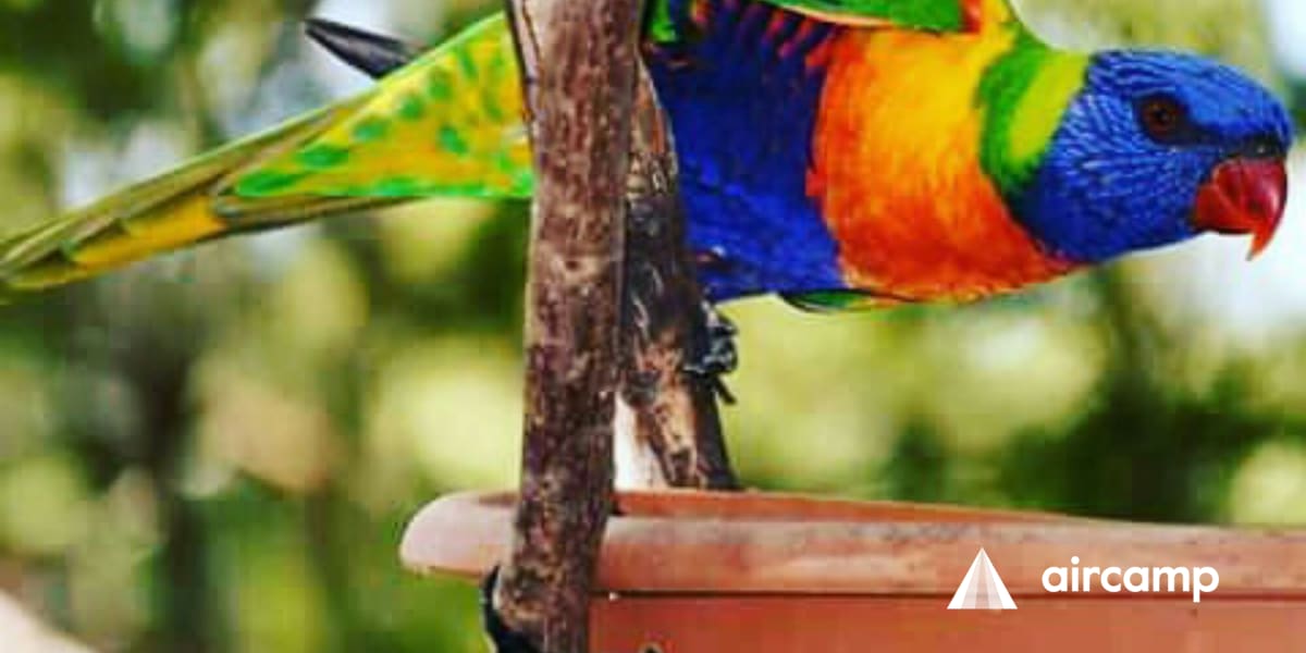 Mt. Larcom Tourist Park - Anycamp