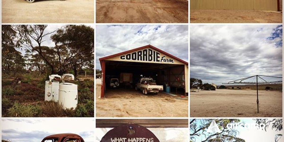 Coorabie Farm - Anycamp