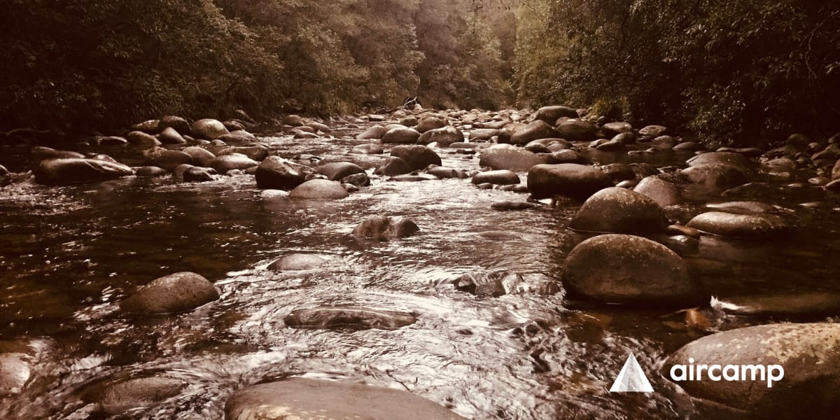 Gloucester River campground and picnic area - Anycamp