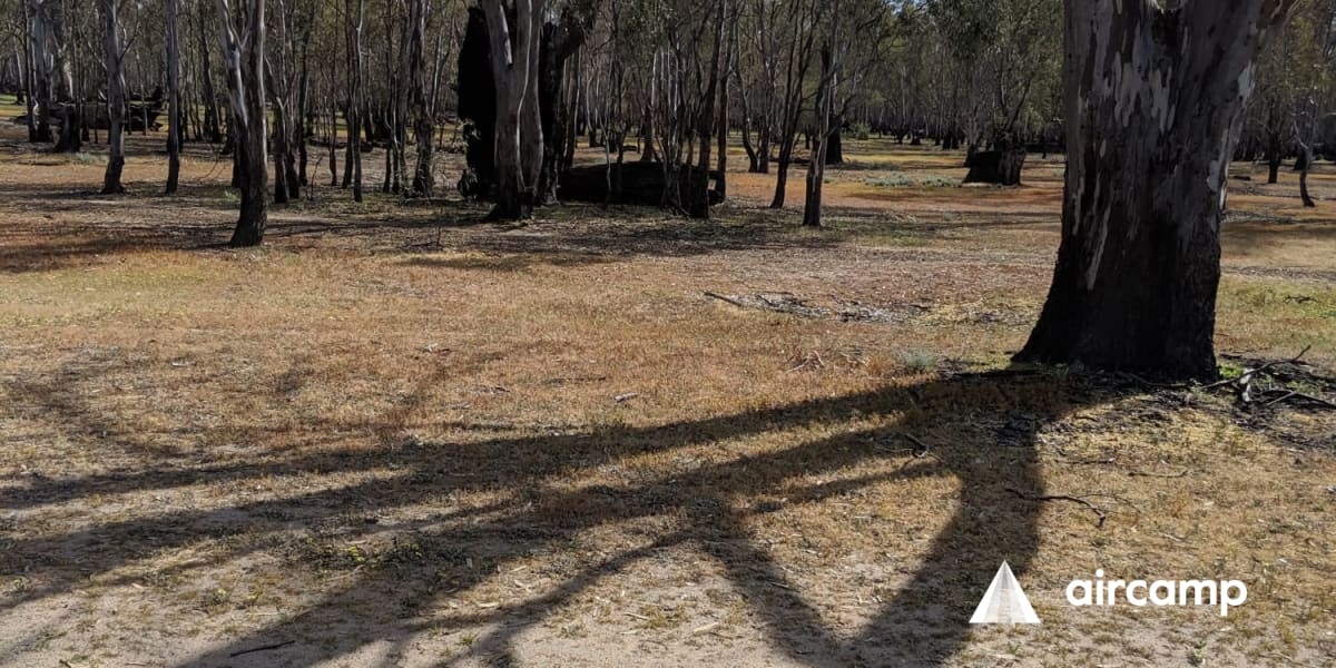 Barmah National Park - Anycamp